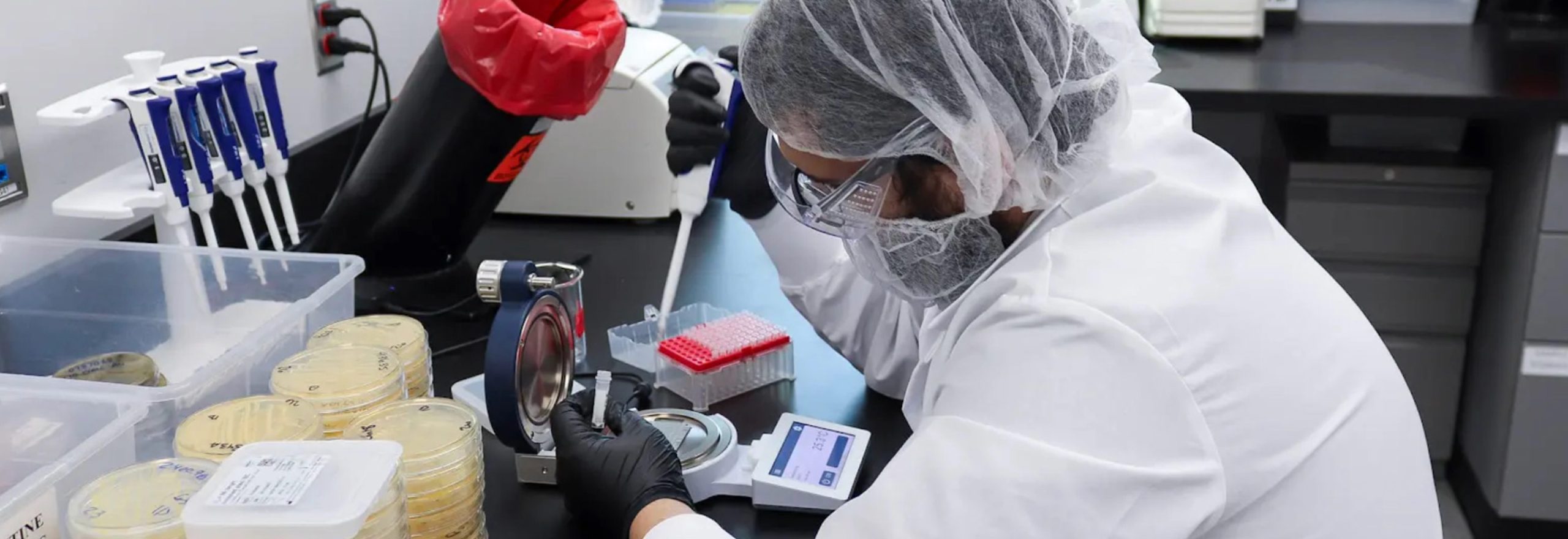 Microbiology R&D • Capability Overview • Q Laboratories